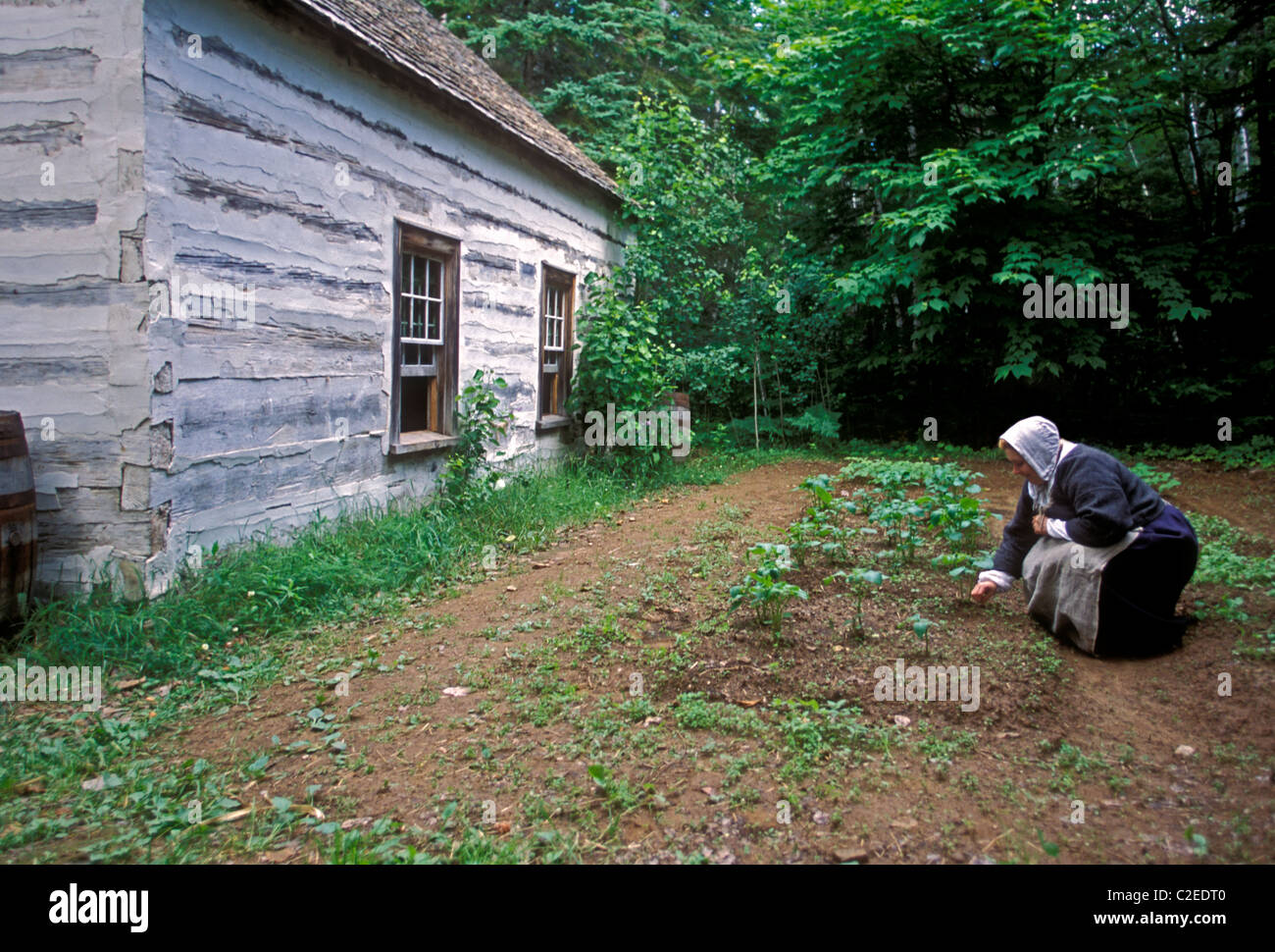 1, one, Canadian woman, weeding garden, wearing period costume, Acadian ...