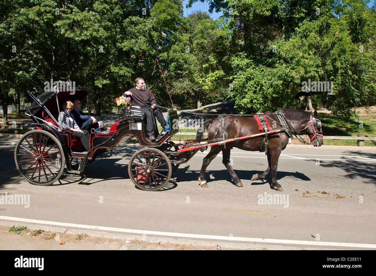 Horse cab hi-res stock photography and images - Alamy