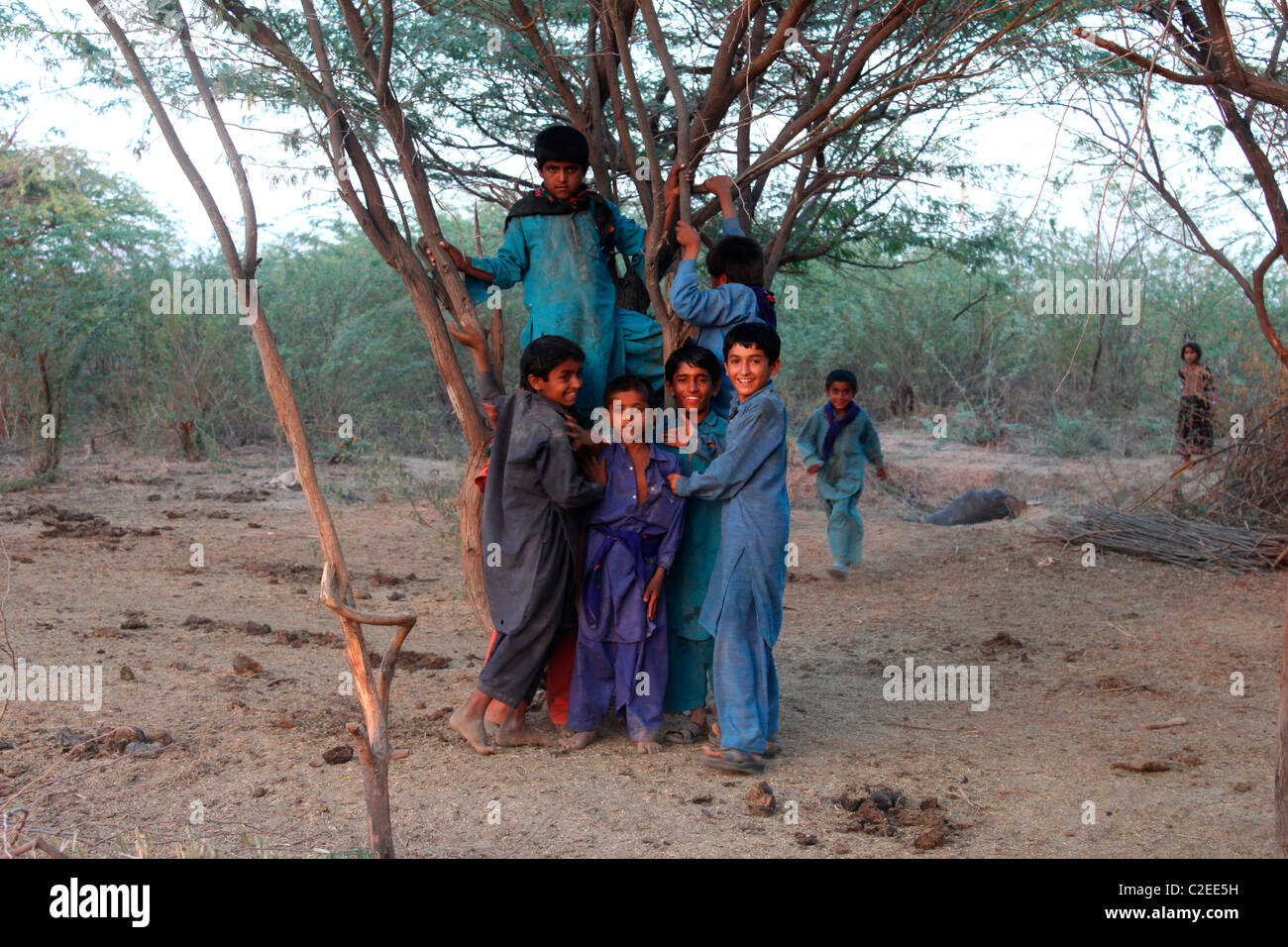 Rural children playing in the open area in Kutch, Gujarat, India Stock ...