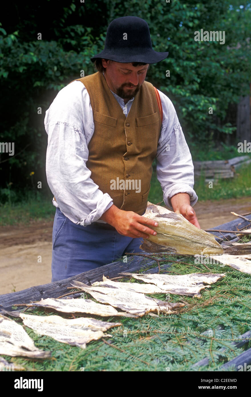 Salting food history hi-res stock photography and images - Alamy