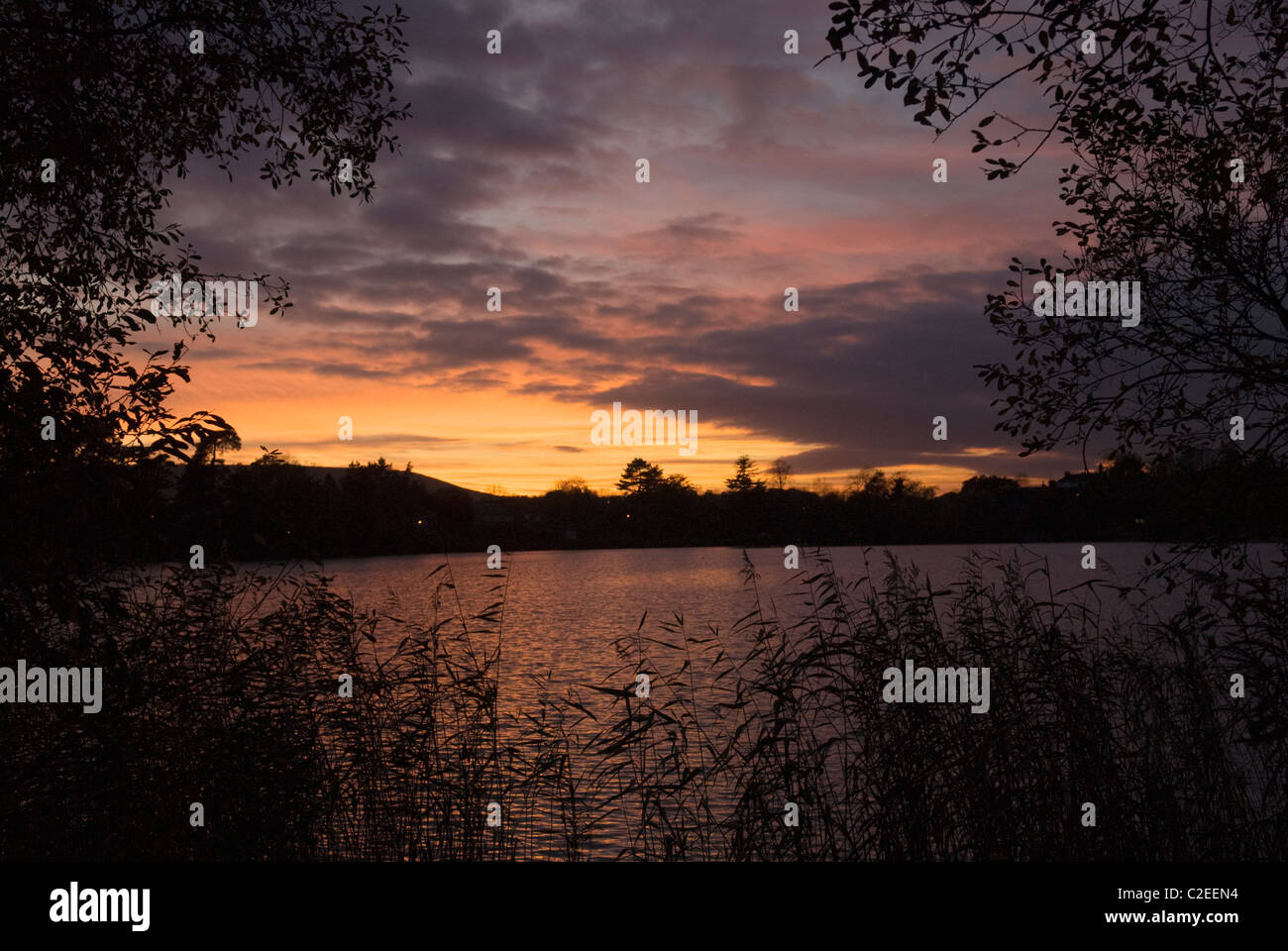 Petersfield Lake High Resolution Stock Photography and Images - Alamy