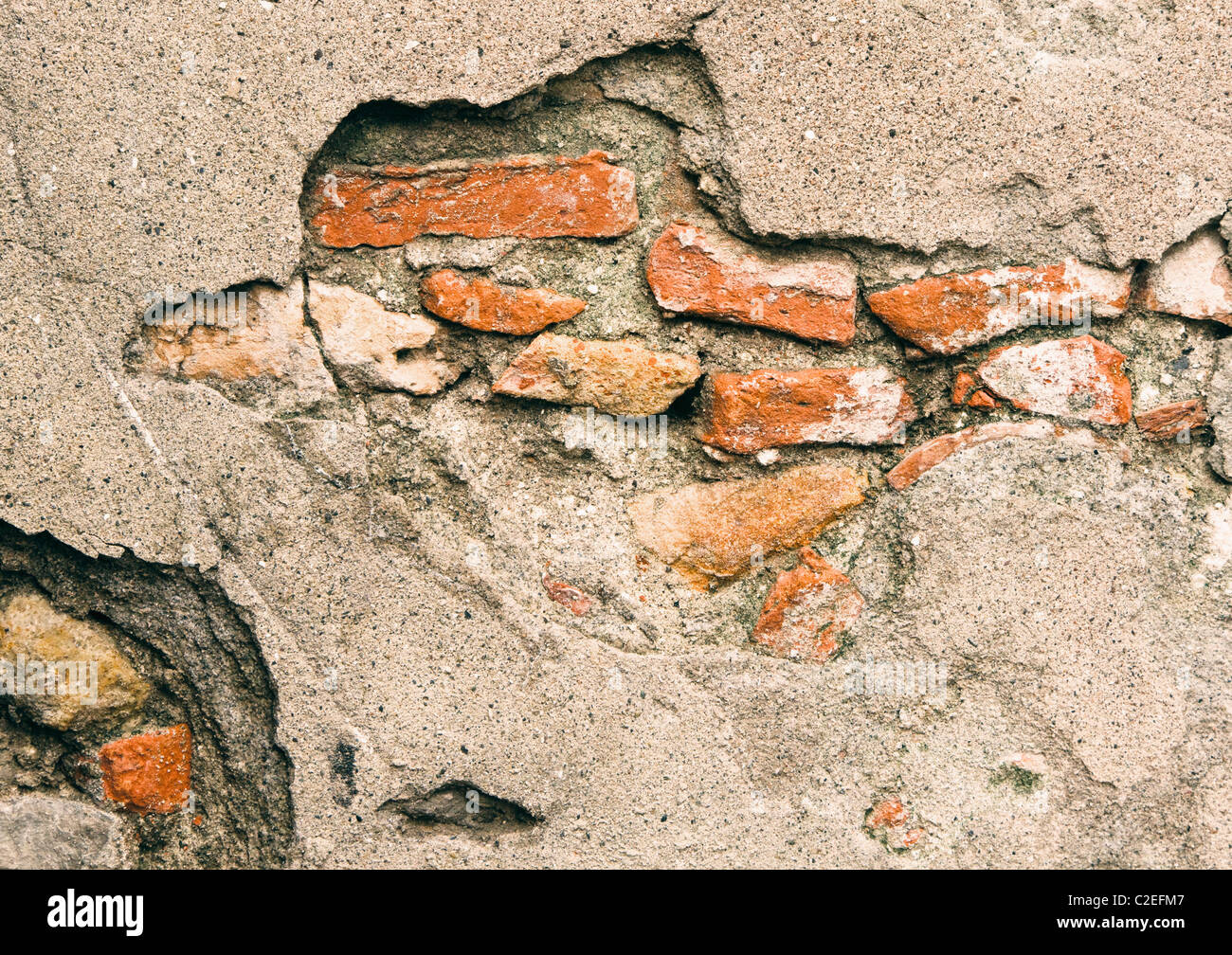 Revealing its structure hi-res stock photography and images - Alamy