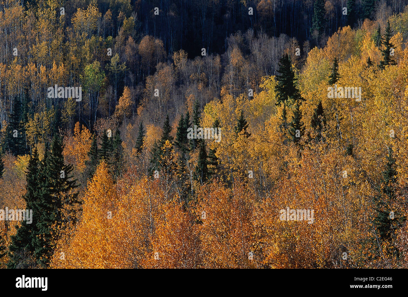 Matanuska Valley Alaska USA Stock Photo - Alamy