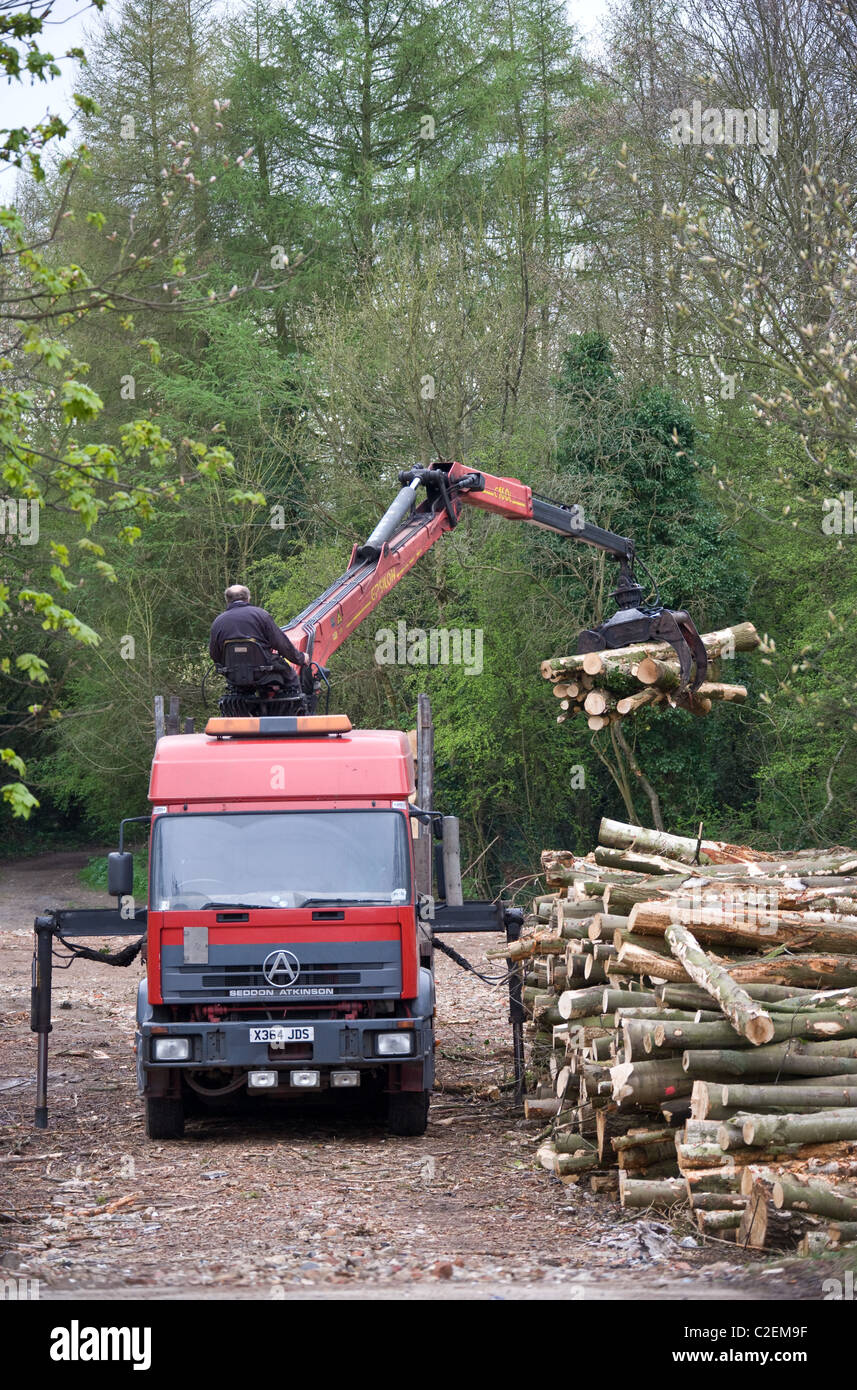 Lorry truck wood hi-res stock photography and images - Alamy