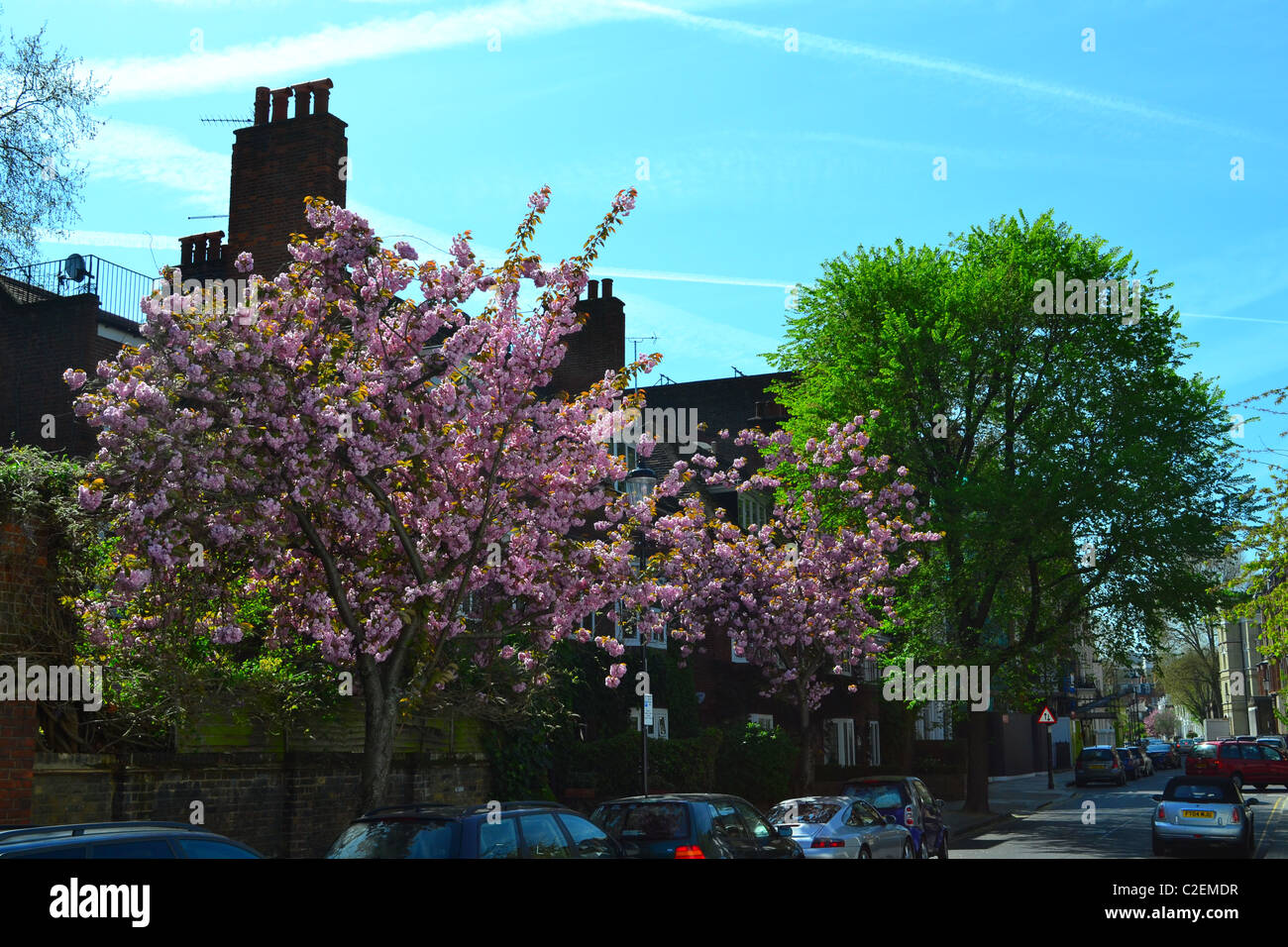 Chelsea in bloom london hi-res stock photography and images - Alamy