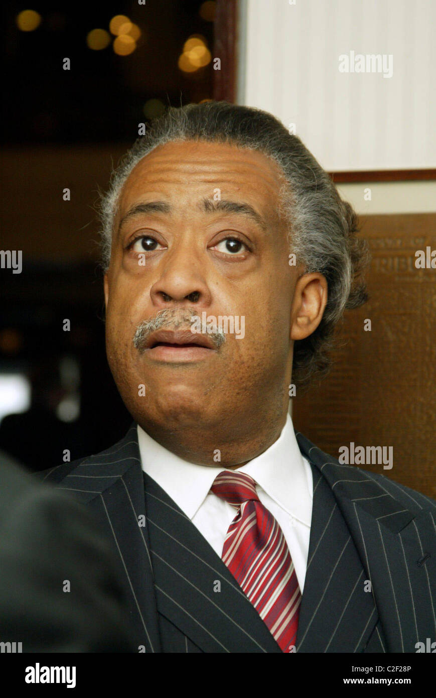 Reverend Al Sharpton The National Action Network held a press conference to announce their march ...