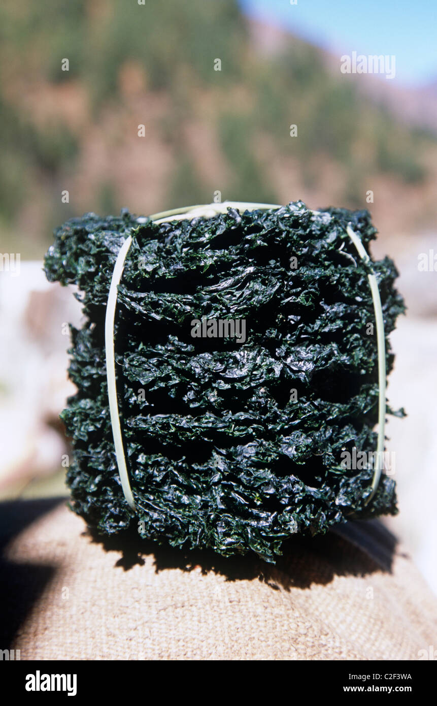 Dried Algae Bhutan Stock Photo - Alamy