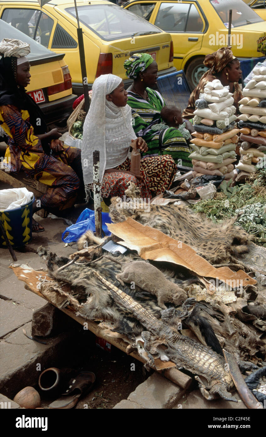 Bamako Mali Stock Photo - Alamy