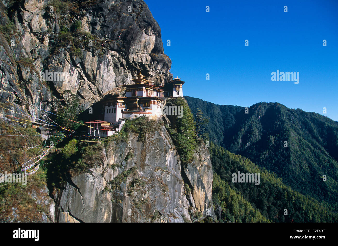 Himalaya ledge hi-res stock photography and images - Alamy