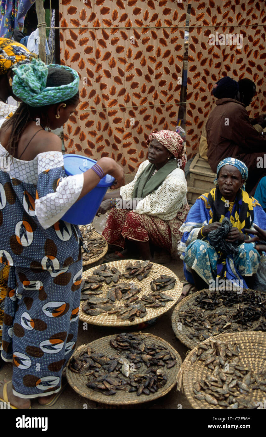 Niger delta fish hi-res stock photography and images - Alamy