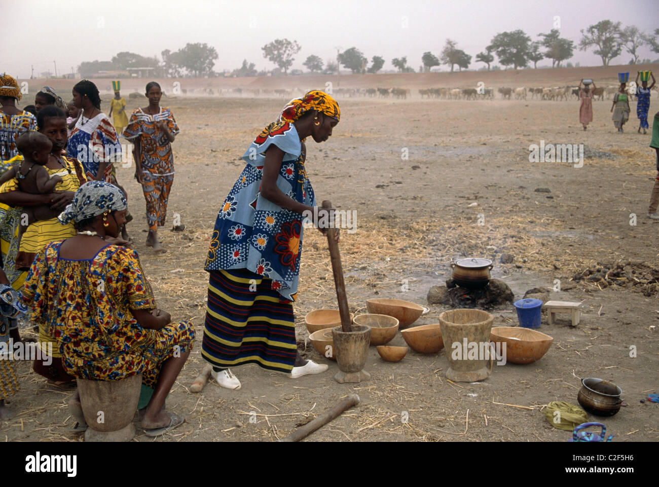 Mali agriculture dry hi-res stock photography and images - Alamy