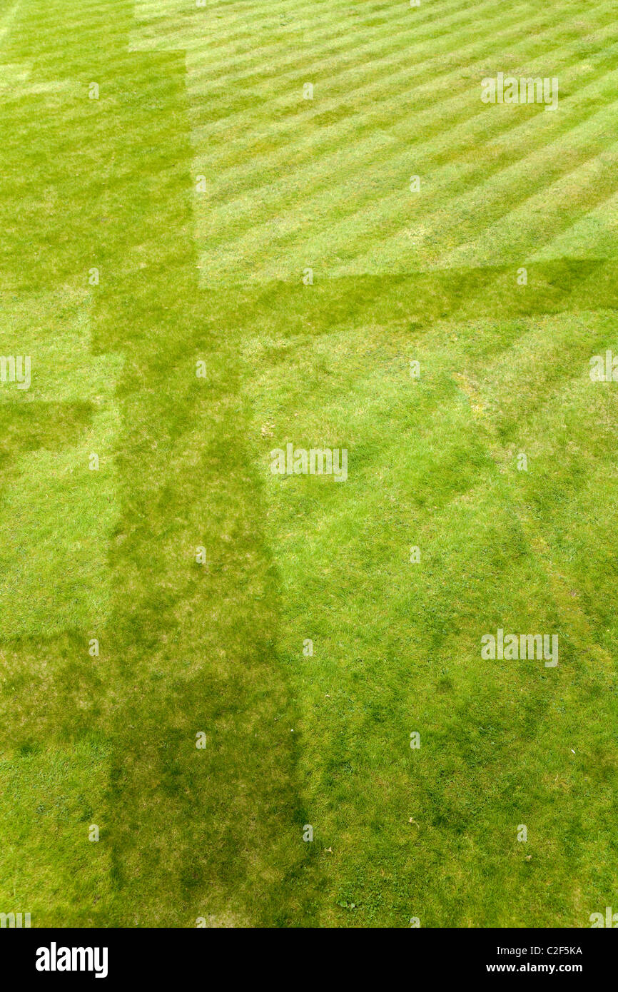 Patchy lawn summer garden hi-res stock photography and images - Alamy