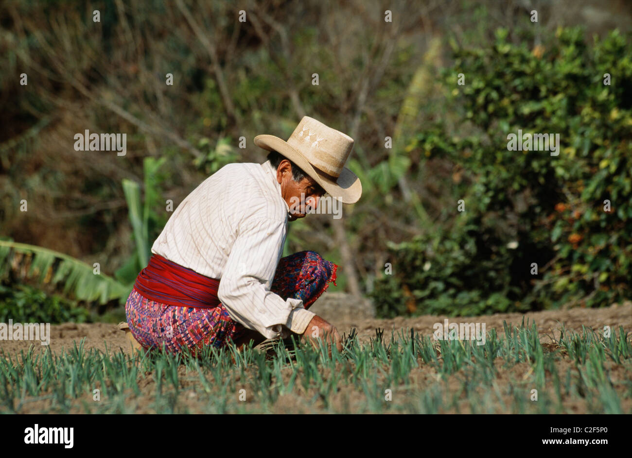 Cakchiquel people are one of the indigenous Mayan people of the ...