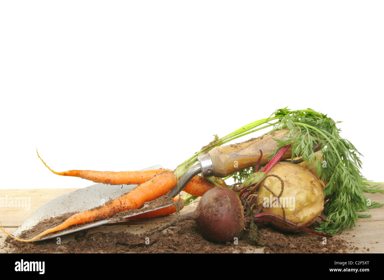 Freshly harvested root vegetables with a trowel and soil Stock Photo ...