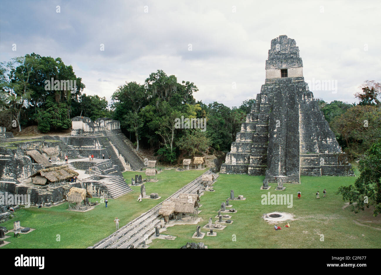 Tikal is the largest of the ancient ruined cities of the Maya ...