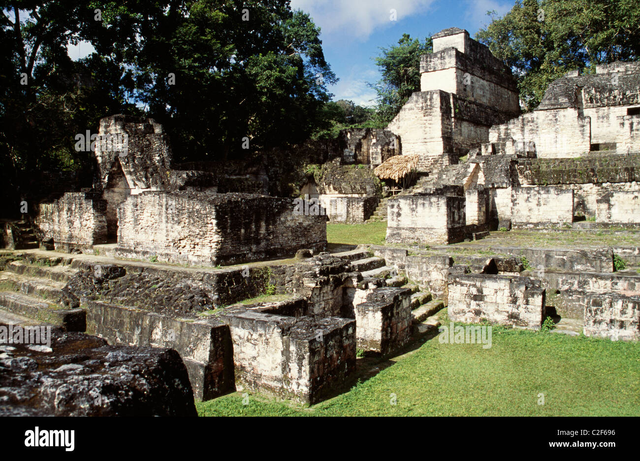 Tikal Peten Region Guatemala Stock Photo - Alamy