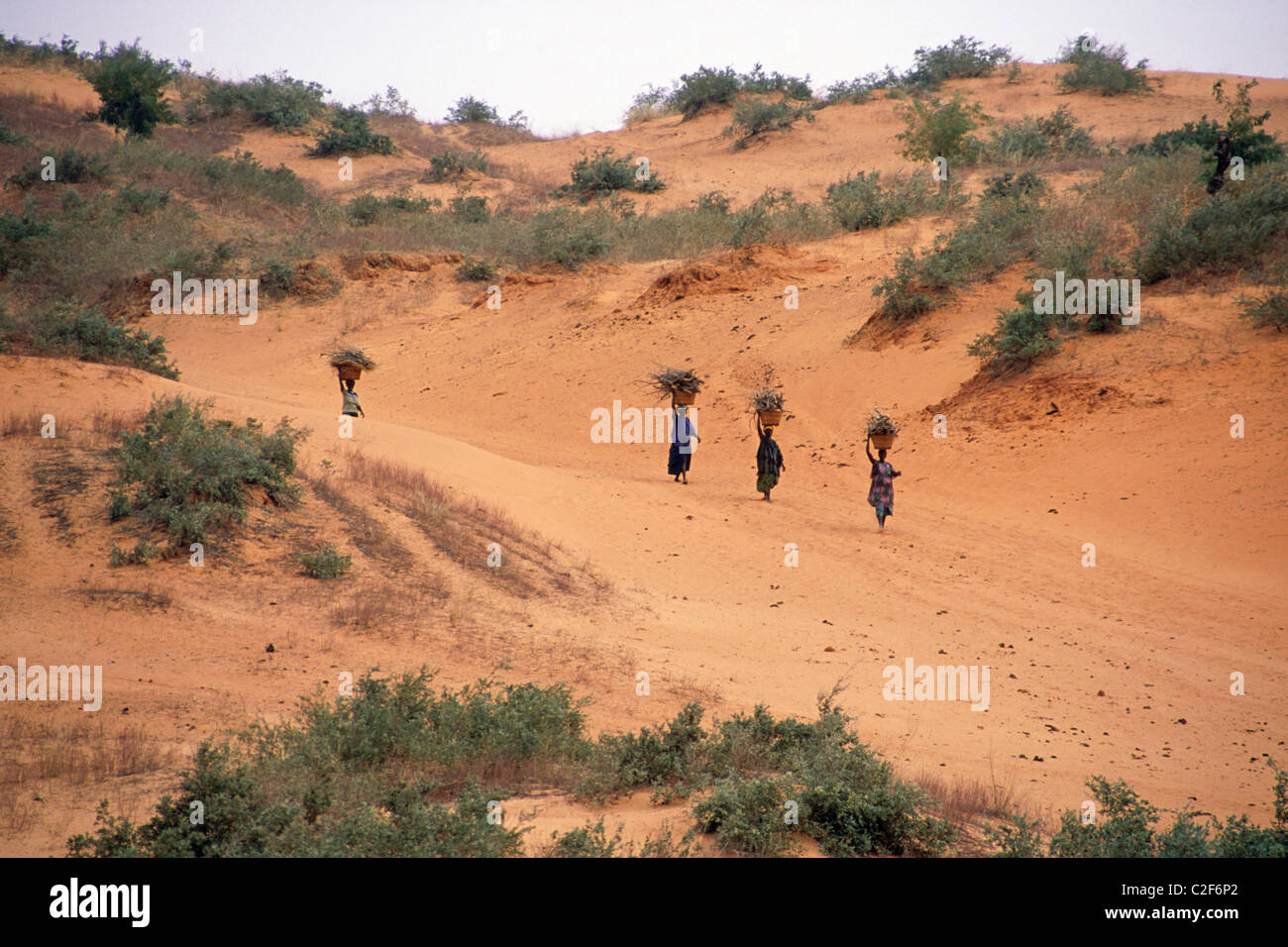 Sand Dunes Dogon Country Mali Stock Photo - Alamy