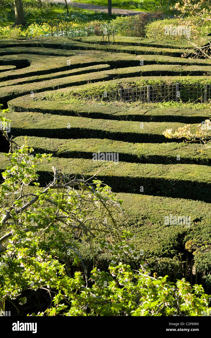 The maze at Hampton Court Palace. Middlesex. UK Stock Photo - Alamy