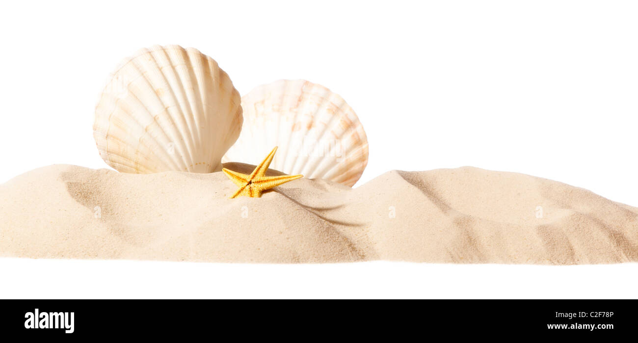 Sand shell beach Cut Out Stock Images & Pictures - Alamy