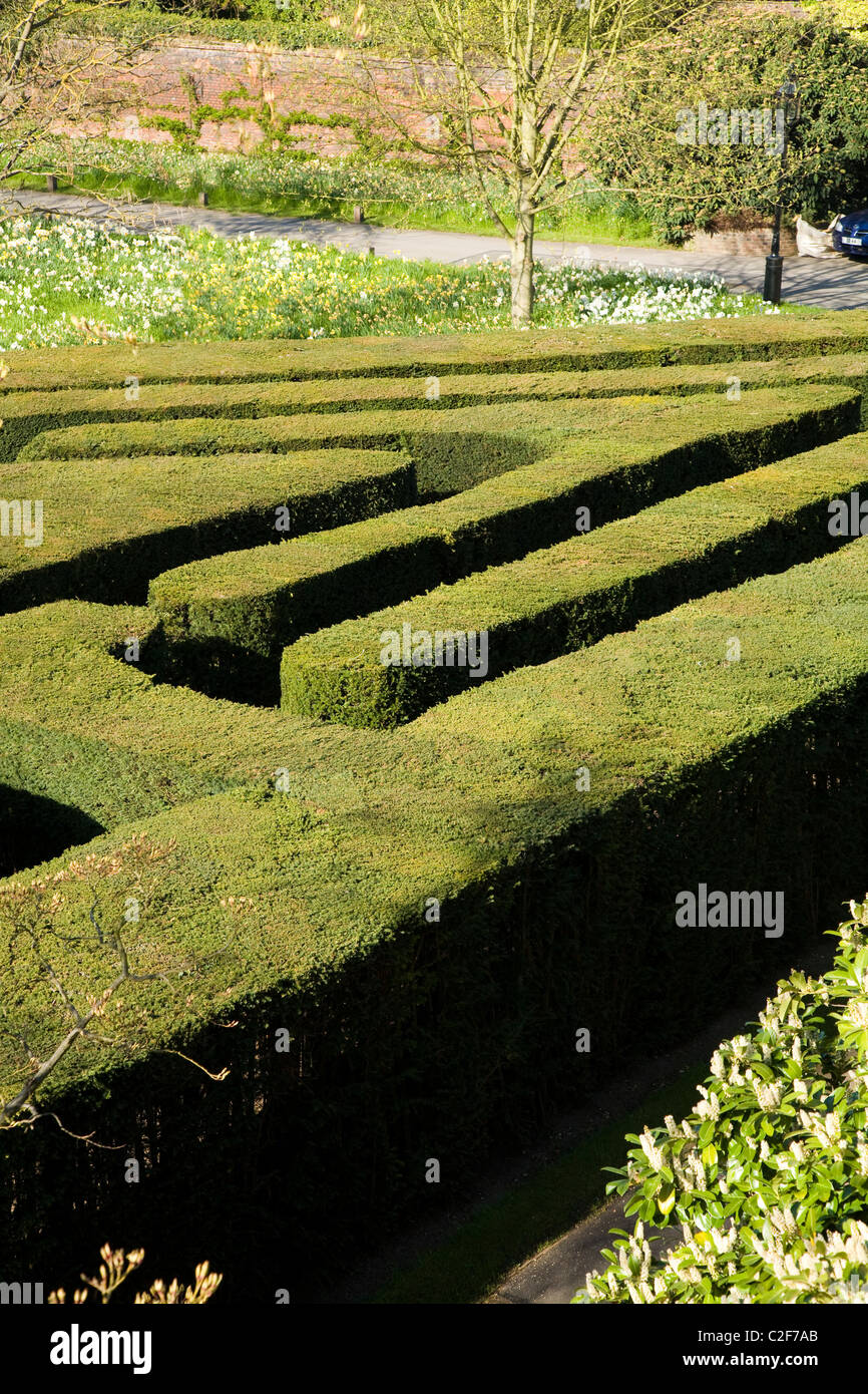 Hampton court palace maze hi-res stock photography and images - Alamy