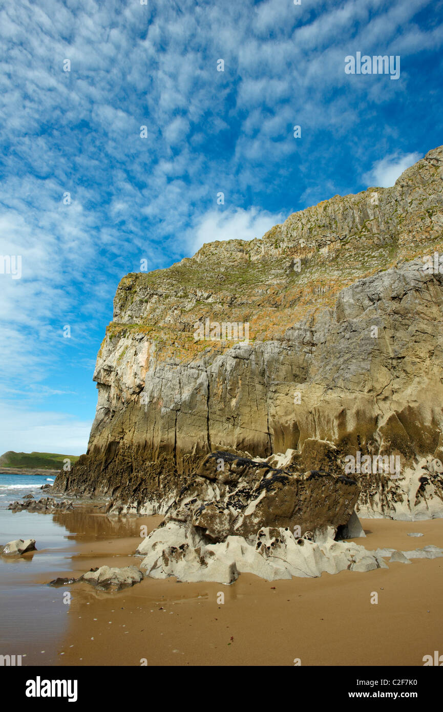 Sea cliffs, Mewslade, Gower Peninsula, Wales, UK Stock Photo - Alamy
