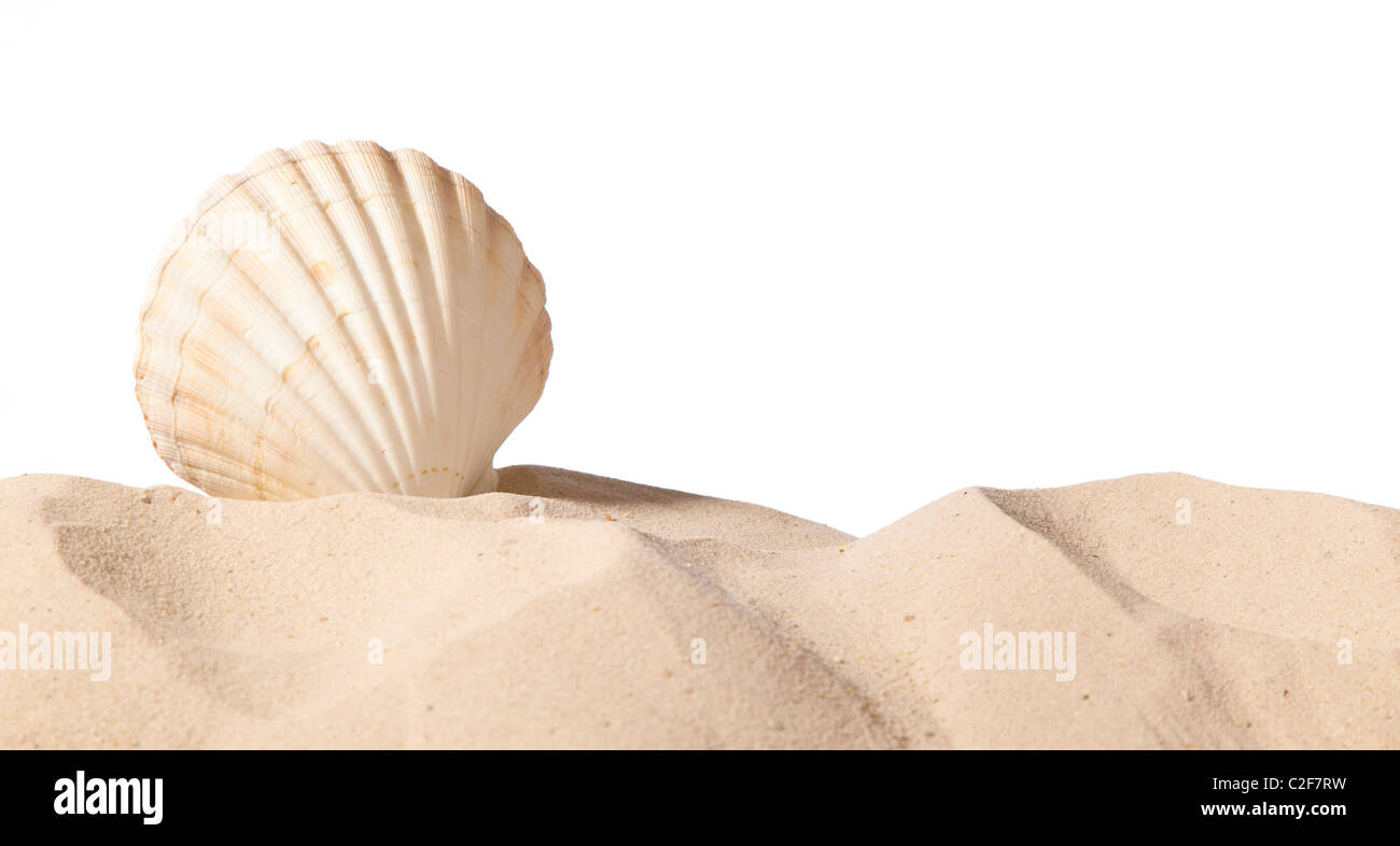 beach concept with shell and sand Stock Photo - Alamy