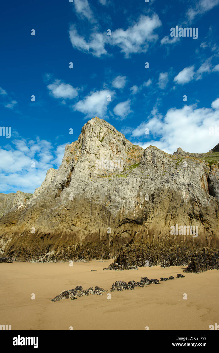 Sea cliffs, Mewslade, Gower Peninsula, Wales, UK Stock Photo - Alamy