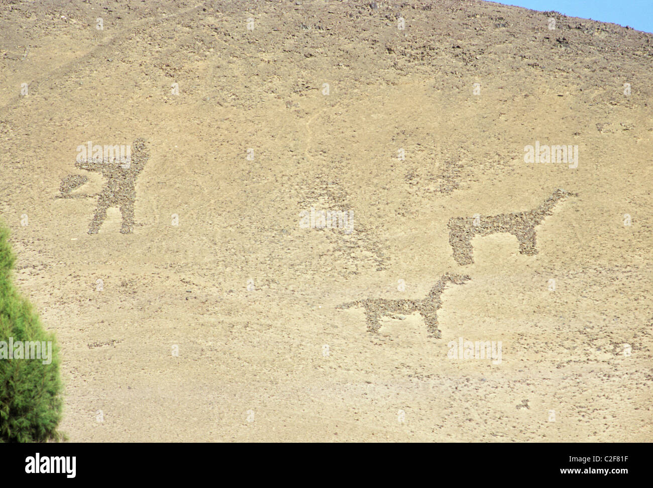 Arica Chile Stock Photo - Alamy
