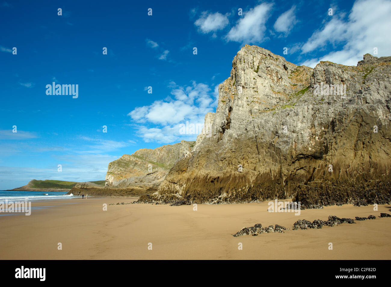Sea cliffs, Mewslade, Gower Peninsula, Wales, UK Stock Photo - Alamy