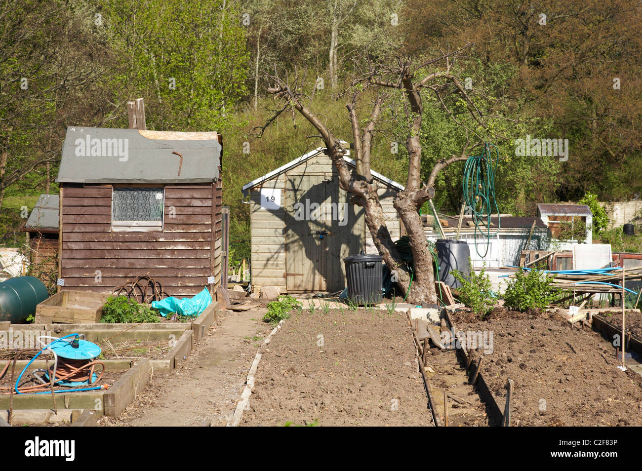 British allotment hi-res stock photography and images - Alamy