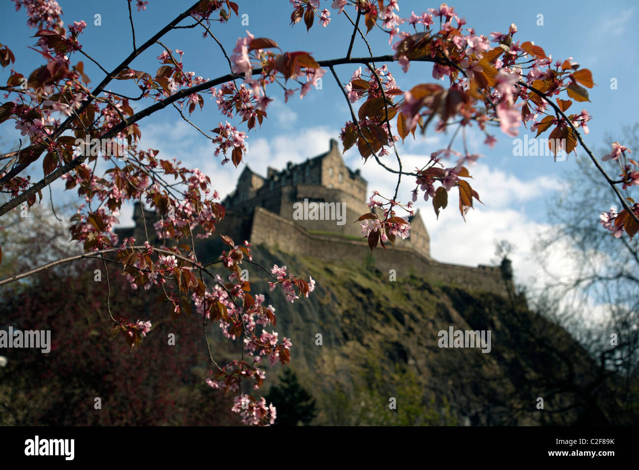 Edinburgh Spring High Resolution Stock Photography and Images - Alamy
