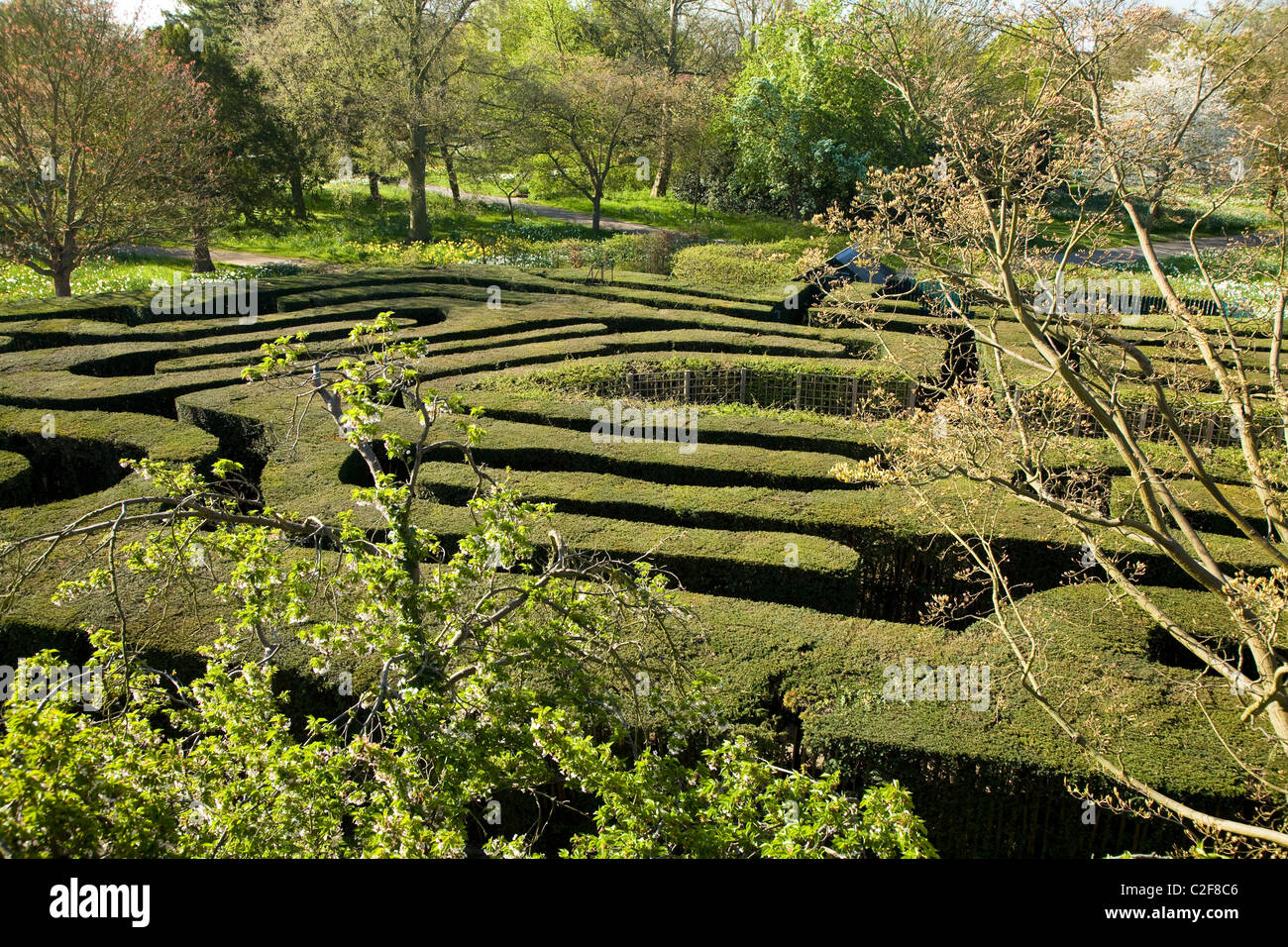 Hampton court palace maze hi-res stock photography and images - Alamy