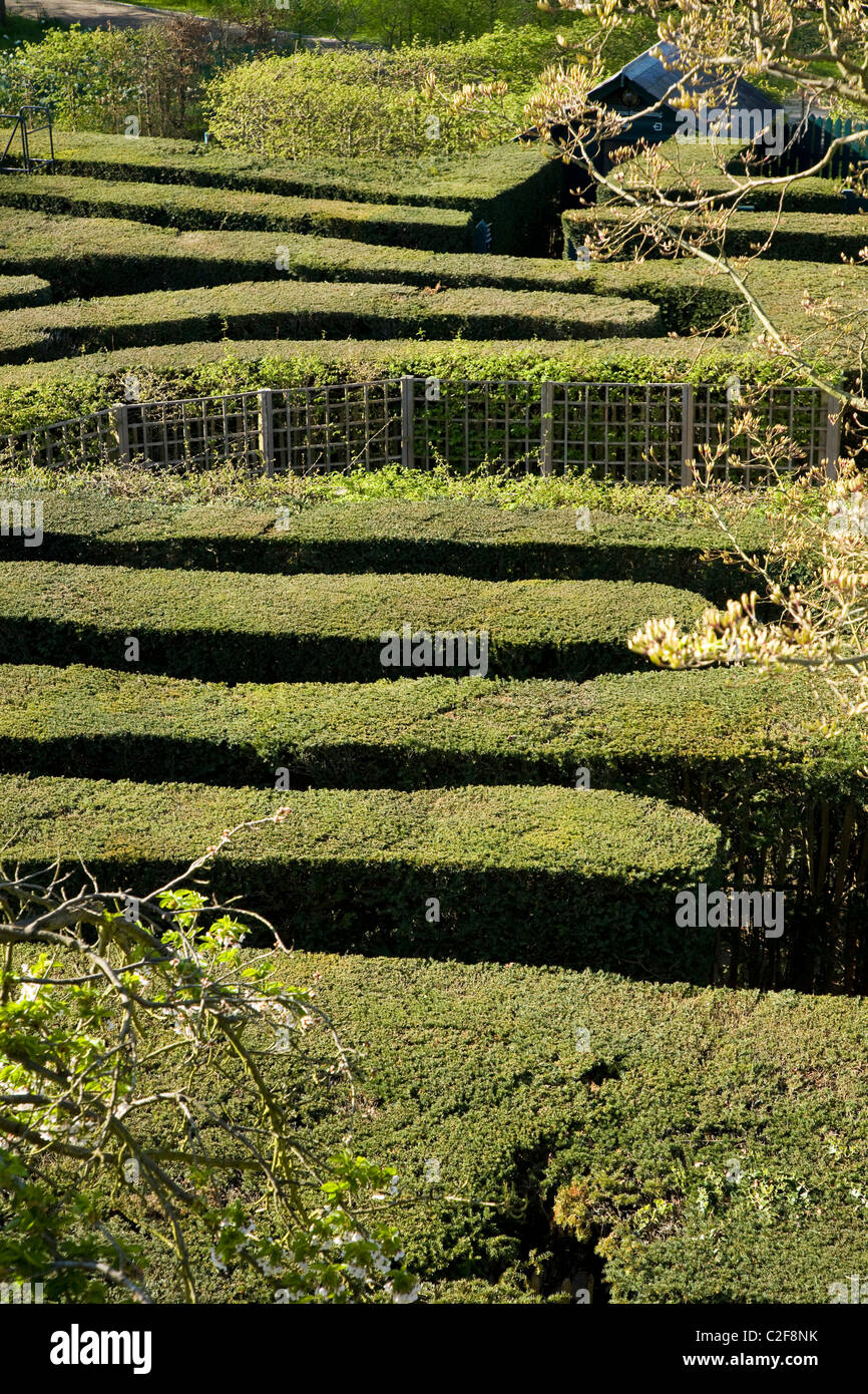 Hampton court palace maze hi-res stock photography and images - Alamy