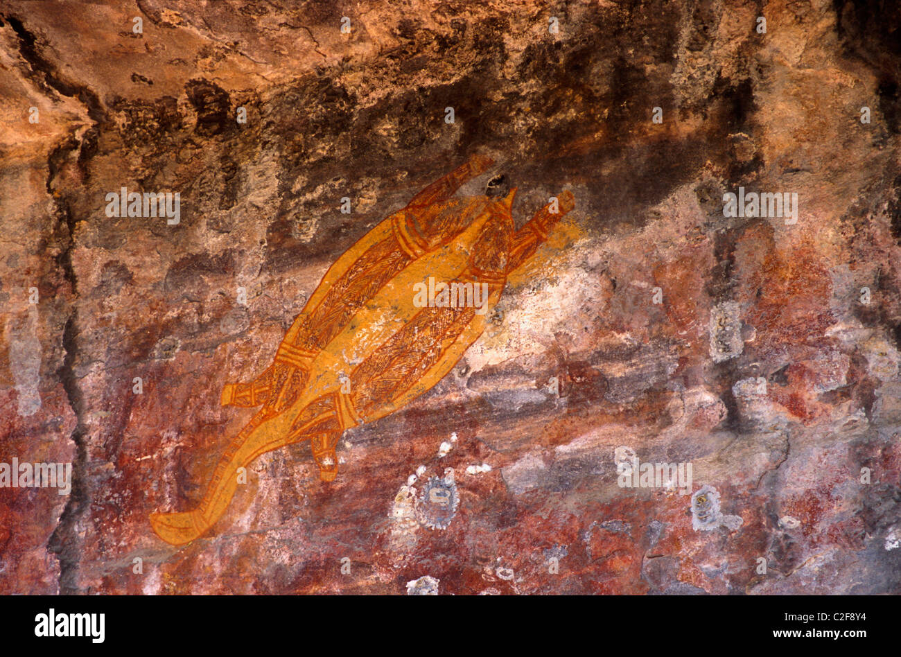 Ubirr in Kakadu National Park famous for its aboriginal rock art and images of animals, some of ...