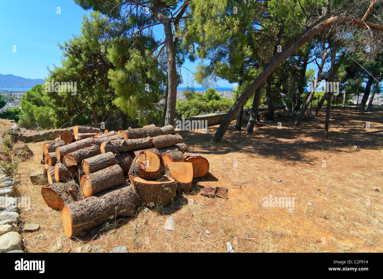 Dead tree logs hi-res stock photography and images - Alamy