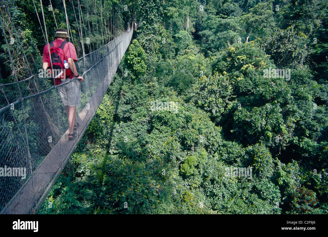 Rainforest Ghana Stock Photo - Alamy