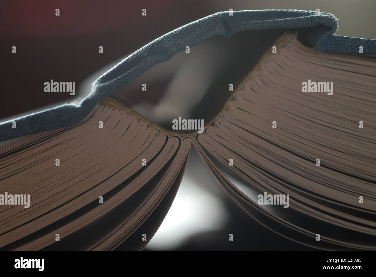 Open book reading hi-res stock photography and images - Alamy