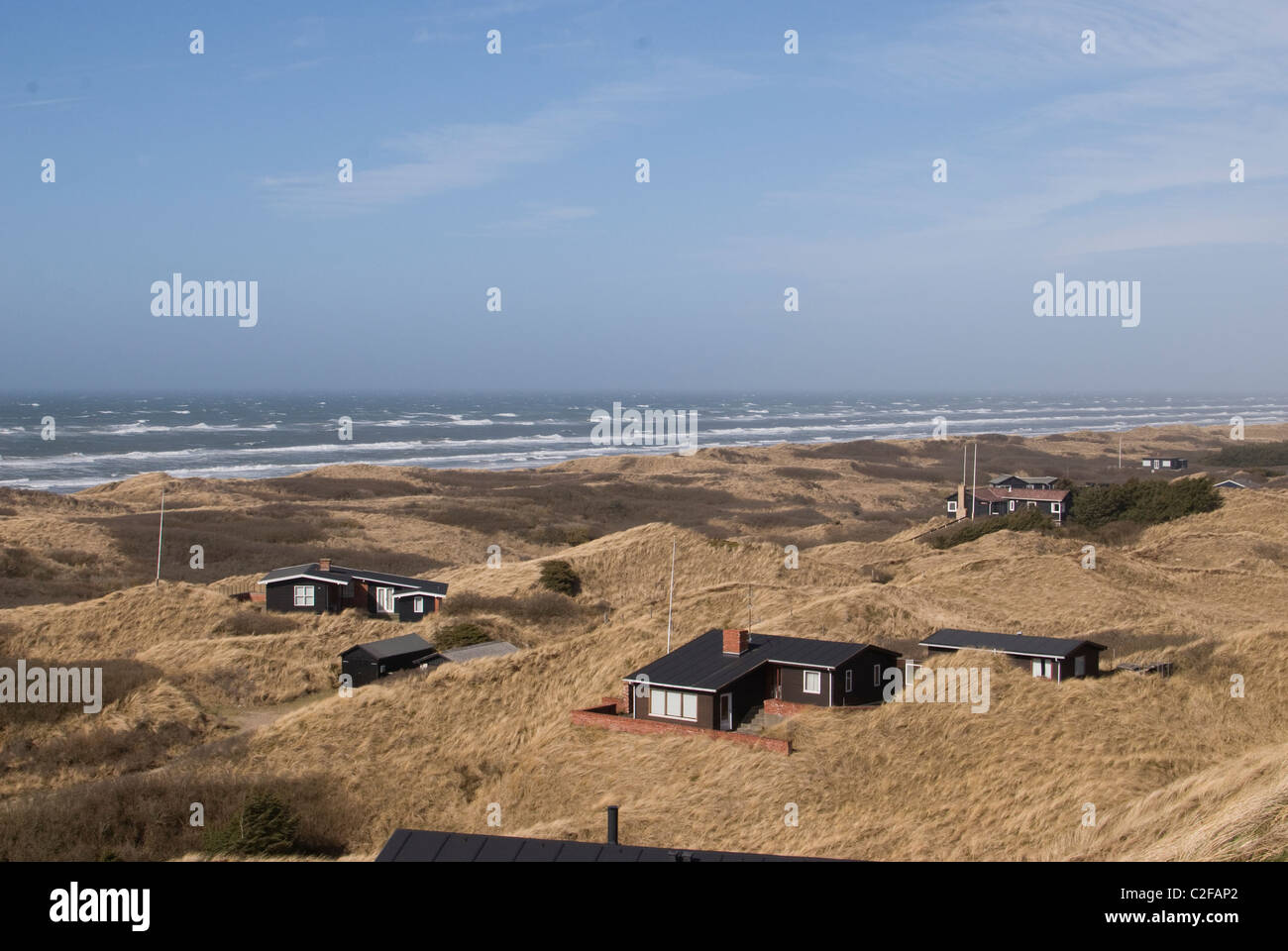 The dunes of the North sea of Denmark Stock Photo - Alamy