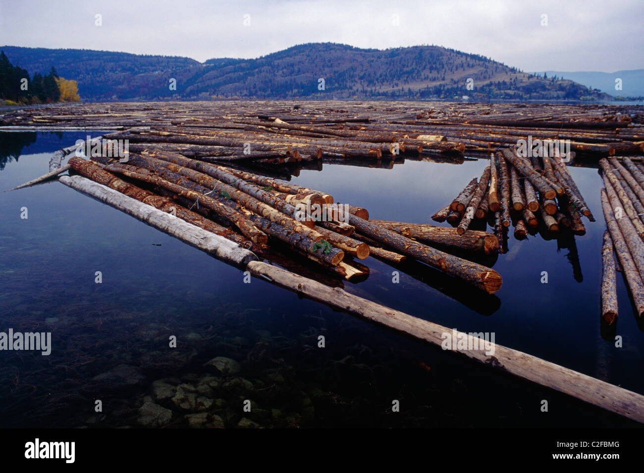 Floating Log Raft British Columbia Canada Stock Photo - Alamy