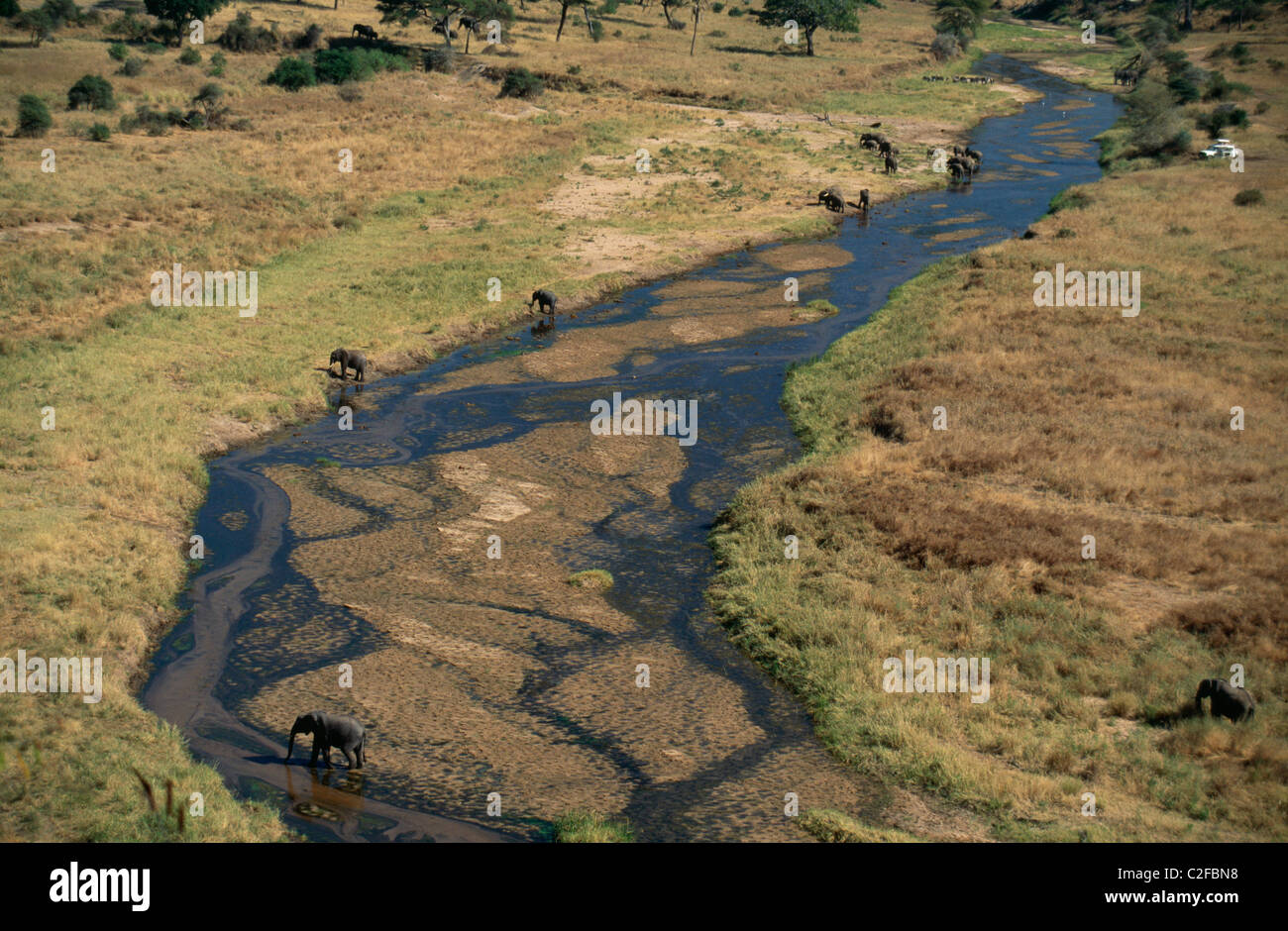 Africa tanzania aerial view river hi-res stock photography and images ...