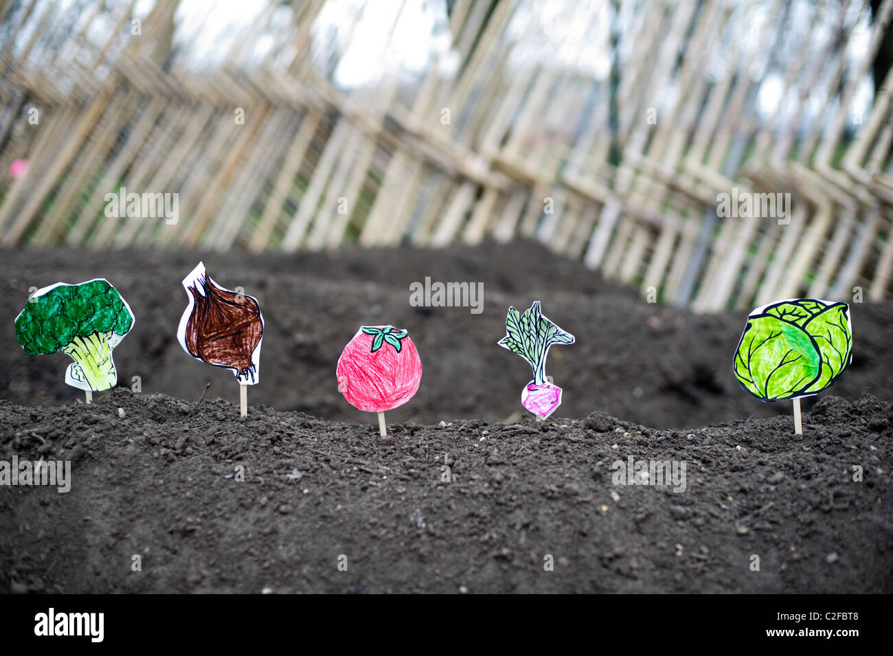 Paper vegetables planted by first grade students at the newly opened ...