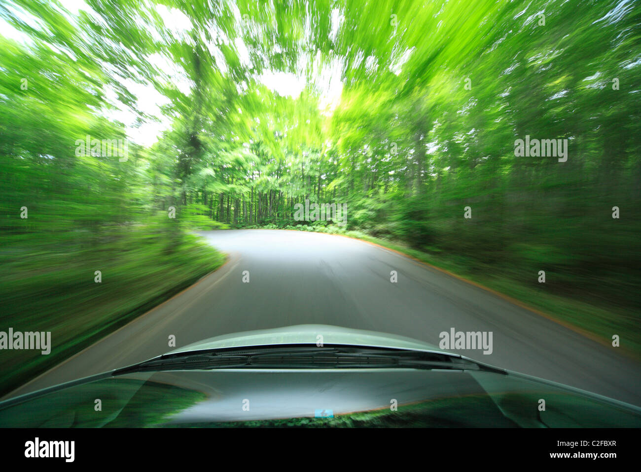 car driving fast into forest Stock Photo - Alamy