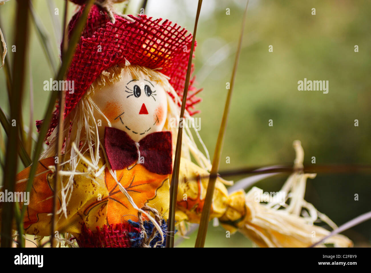 Female scarecrow hi-res stock photography and images - Alamy