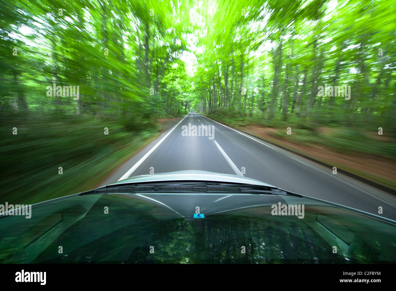 car driving fast into forest Stock Photo - Alamy