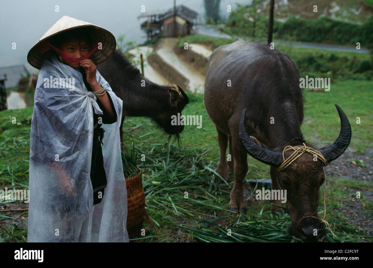 Cat Cat Village Lao Gai Vietnam Stock Photo - Alamy