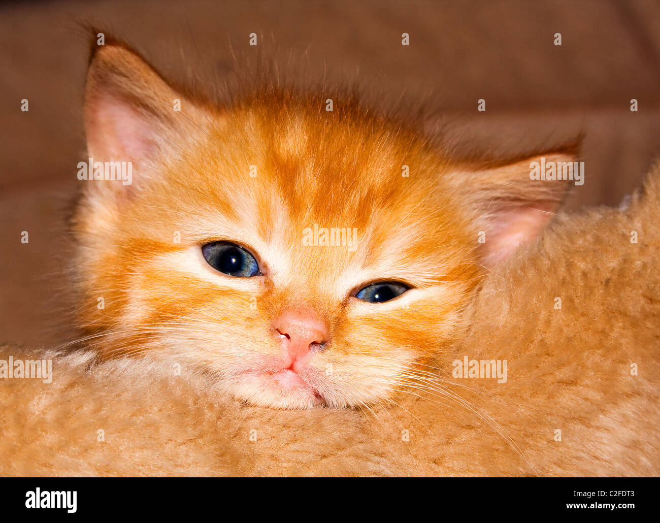 Unphased hi-res stock photography and images - Alamy