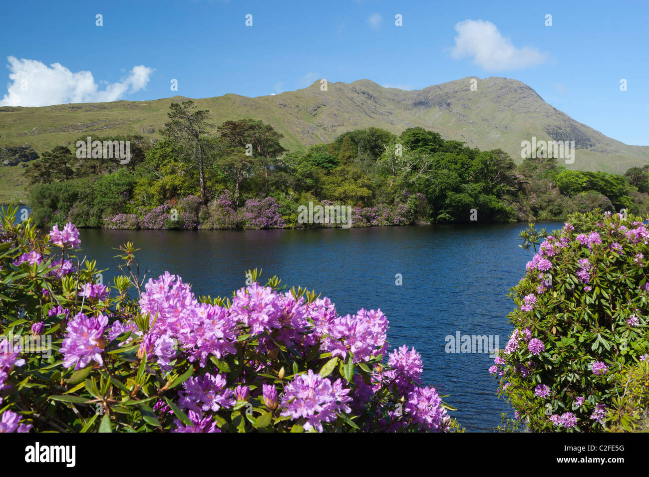 Loch fidh hi-res stock photography and images - Alamy