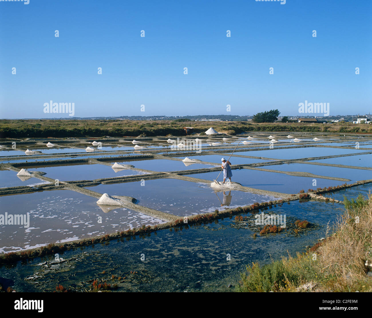 Saille hi-res stock photography and images - Alamy