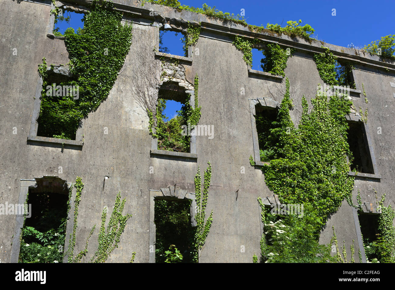 Overgrown ruins of Woodstock, Georgian mansion designed by Francis ...