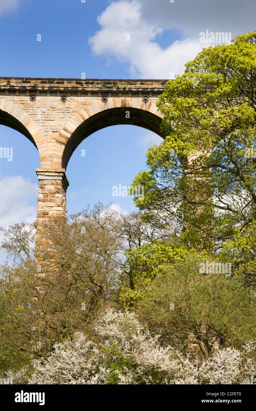 Railway Viaduct Crimple Valley Harrogate North Yorkshire England Stock ...